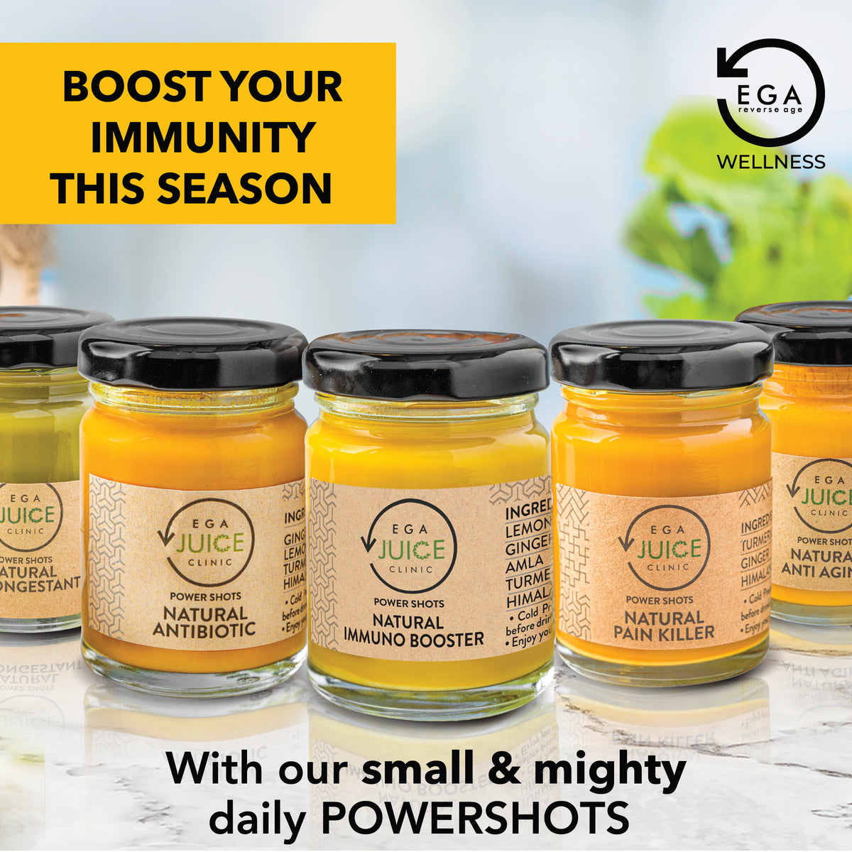 Powershot Bundles [Turmeric Amla Ginger Honey] | EGA Wellness Singapore